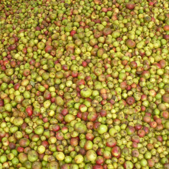 Draught Still Ciders - King Brain Drinks