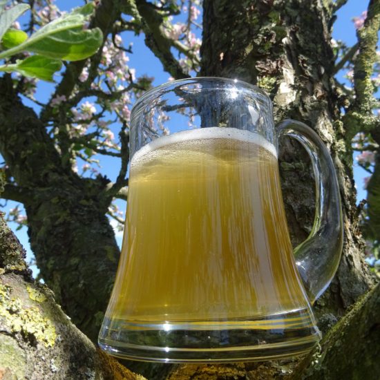 Draught Still Ciders - King Brain Drinks